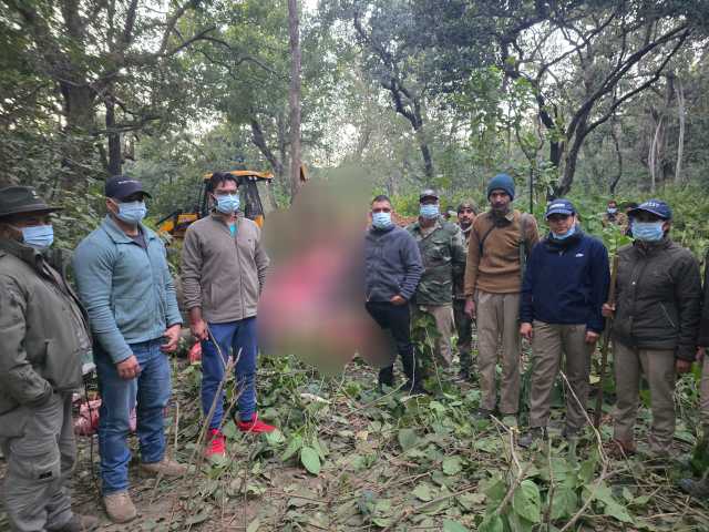 बिग ब्रेकिंग-गश्त टीम को 1 नर हाथी मृत अवस्था में पड़ा मिलने से मचा हड़कंप, जताई जा रही यह ...