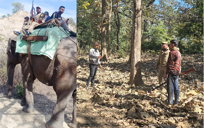 रामनगरः ट्रैप कैमरों और ड्रोन से कड़ी निगरानी, हमलावर बाघ की पहचान और तलाश तेज - Corbett Halchal ...