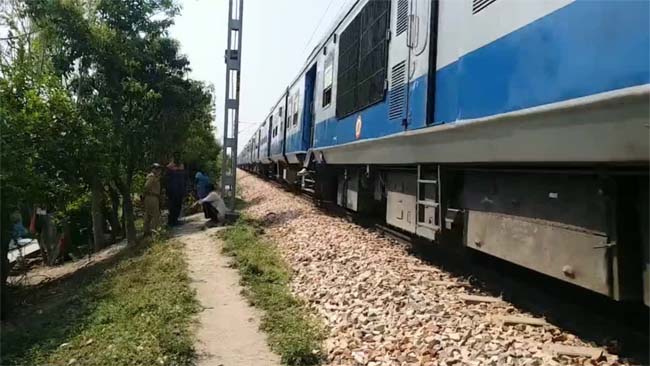 हल्द्वानी: ट्रेन की चपेट में आकर हाथी की मौत - Corbett Halchal (कॉर्बेट हलचल)