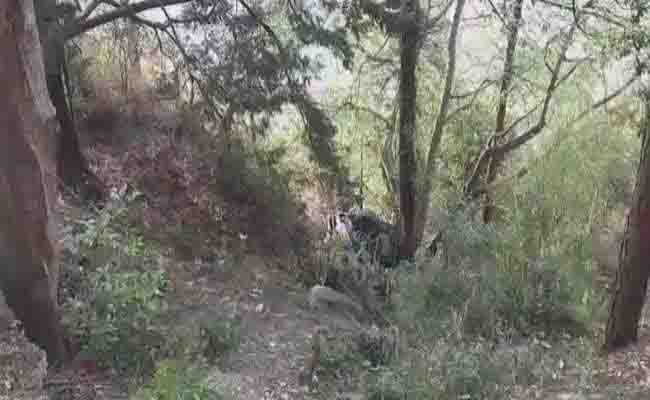 नैनीताल में हादसाः अनियंत्रित कार खाई में गिरी, महिला की मौत - Corbett Halchal (कॉर्बेट हलचल)