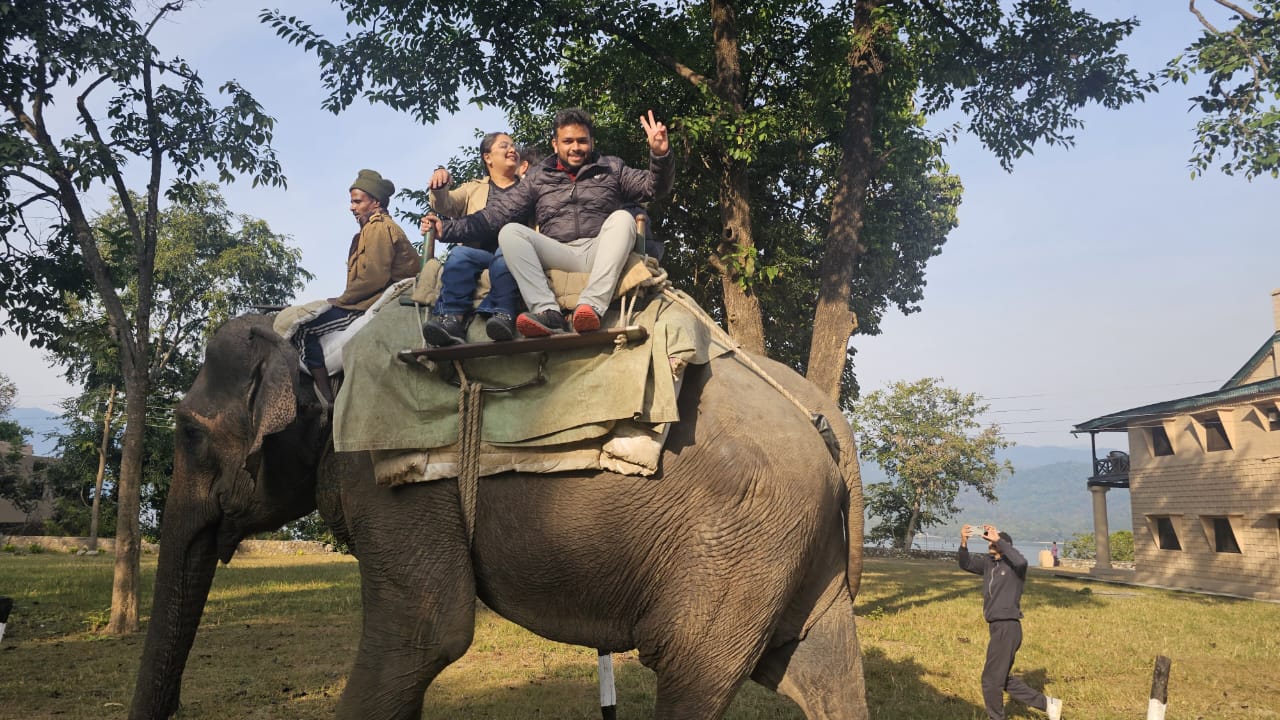 कार्बेट टाइगर रिजर्व में हाथी सफारी दोबारा शुरू, ये है शुल्क - Corbett ...